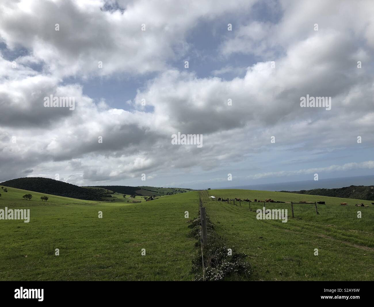 Green grass and pasture hi-res stock photography and images - Alamy