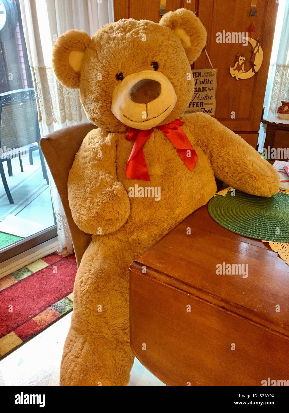 Big teddy hi-res stock photography and images - Alamy