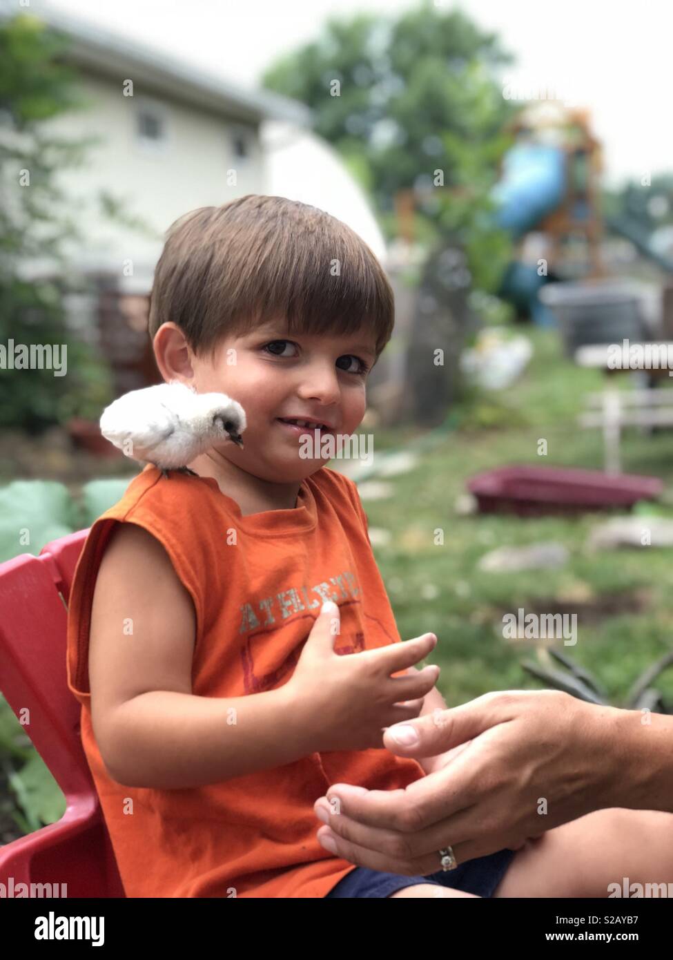 A boy and his chicken Stock Photo - Alamy