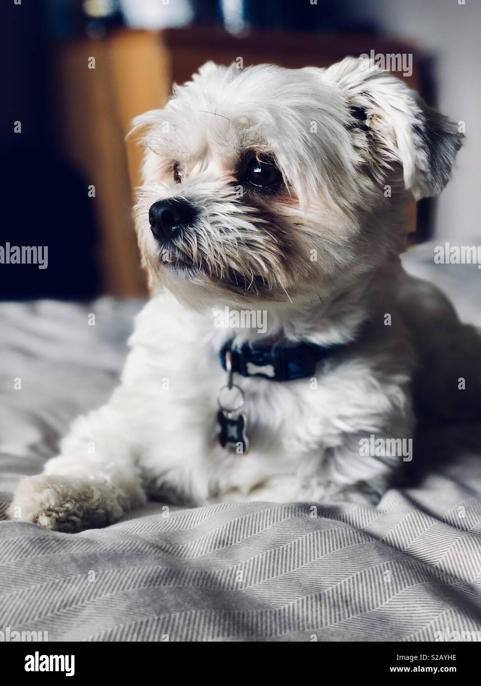 Time to chill Stock Photo - Alamy