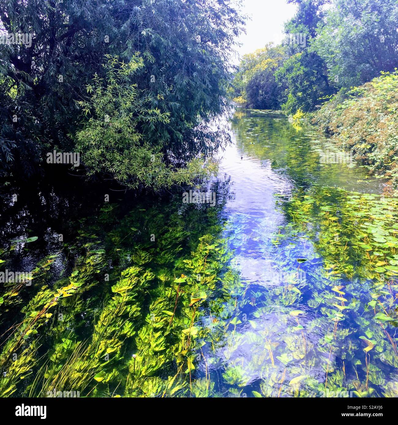 A clean flowing river,Walthamstow wetlands, London Stock Photo - Alamy