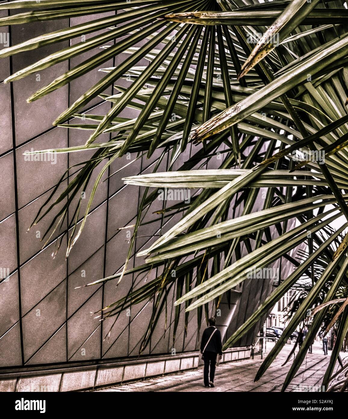 Urban versus nature hi-res stock photography and images - Alamy