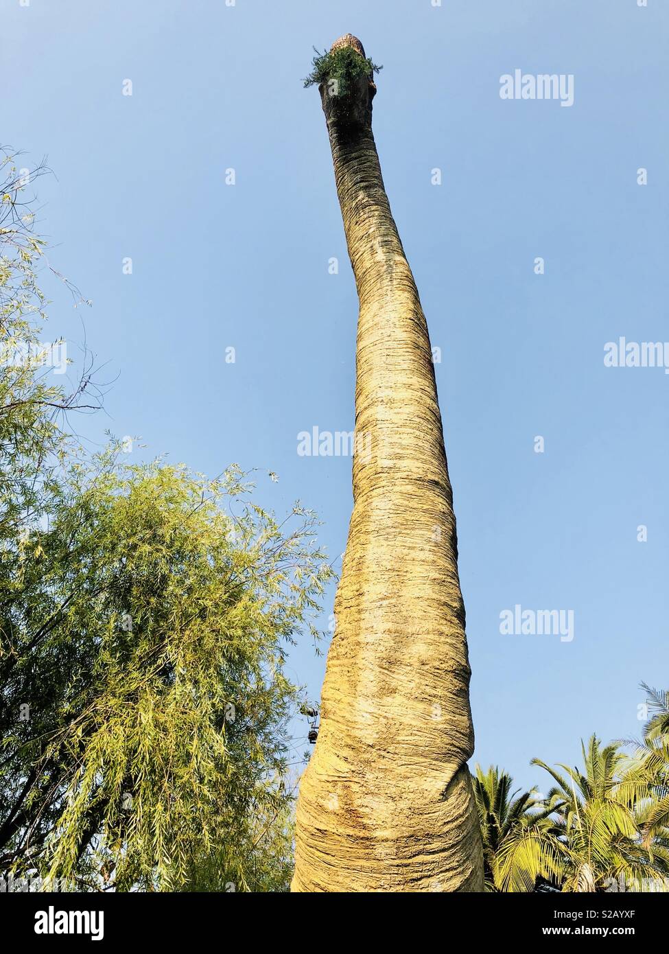 Feeling Small High Resolution Stock Photography and Images - Alamy