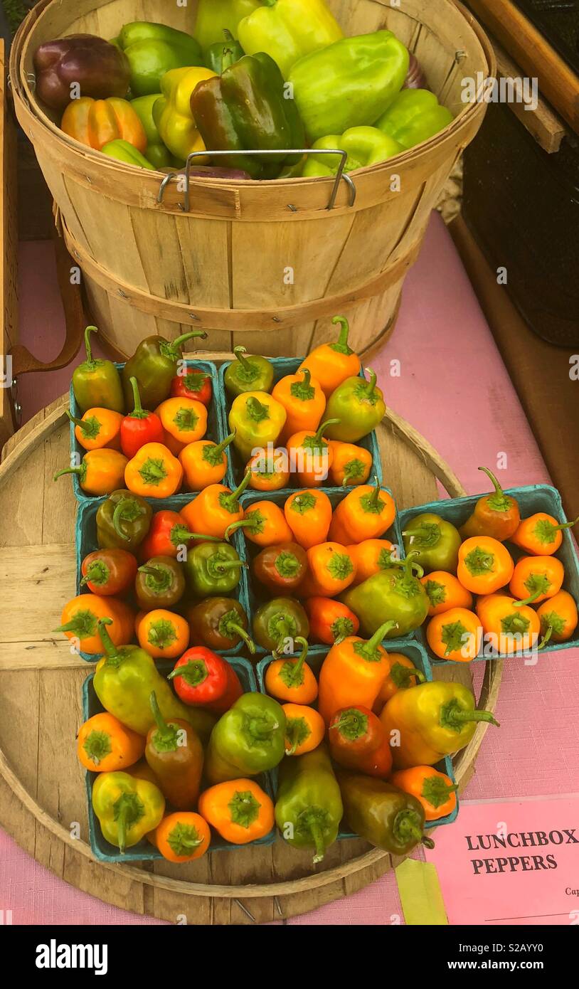 Farm to Table - Organic Bell Peppers & Lunchbox Peppers Stock Photo - Alamy