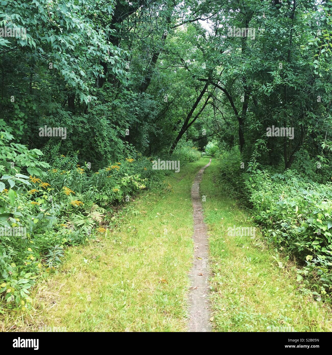 Path, Ethan Allen Homestead, Burlington, Vermont, United States Stock ...