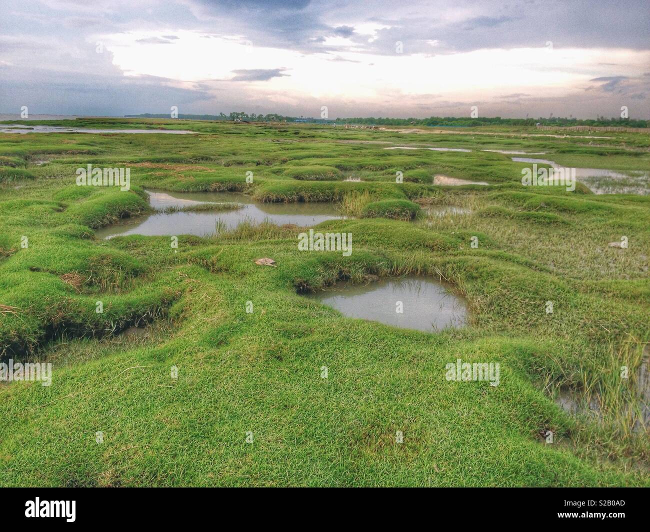 Green Grass Beach Stock Photo - Alamy