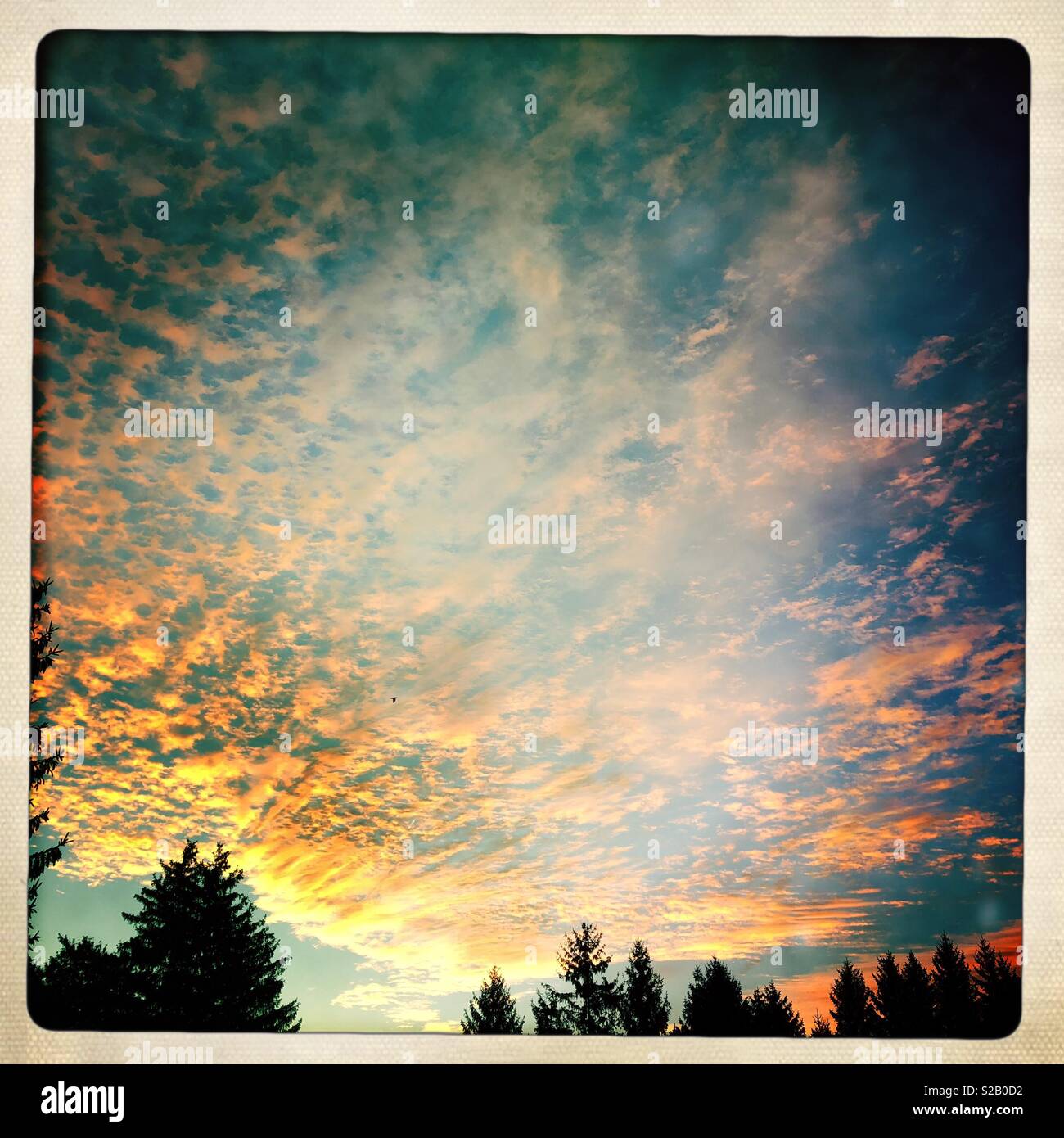 Dramatic sunset from my front yard Stock Photo - Alamy