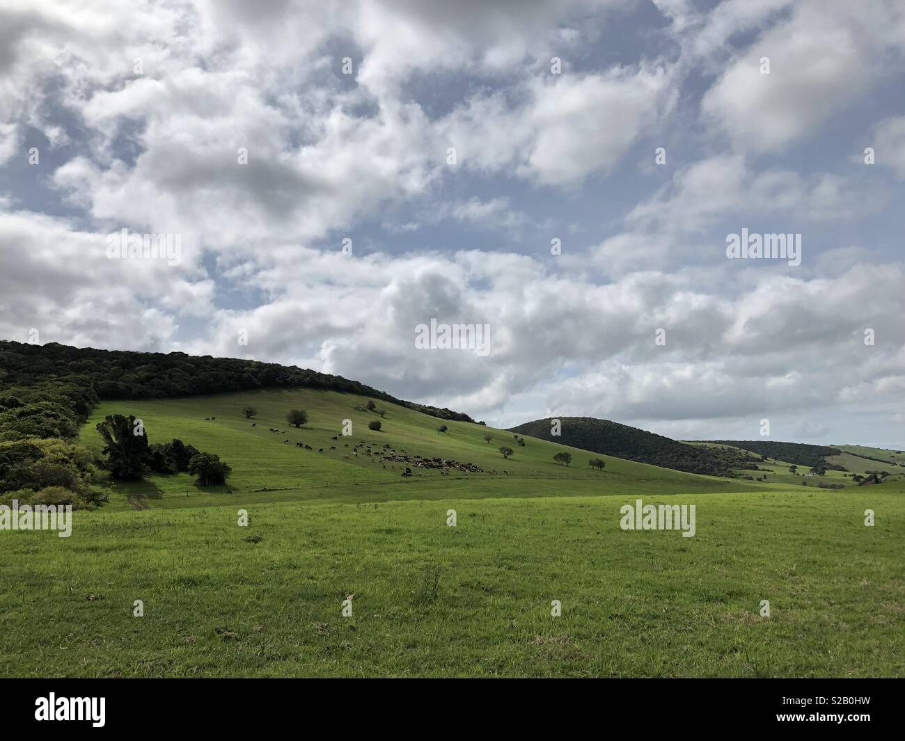 Cloudy field clouds hi-res stock photography and images - Alamy