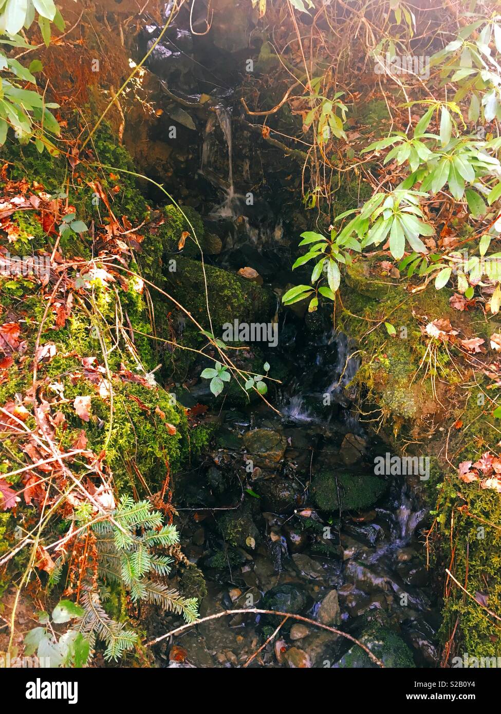 Trickle hi-res stock photography and images - Alamy