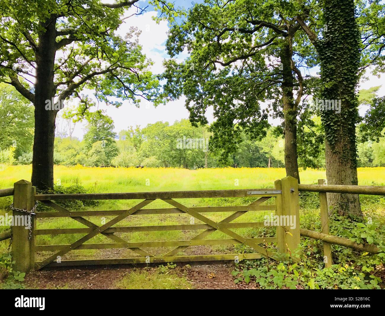 A gate with trees in the countryside Stock Photo - Alamy