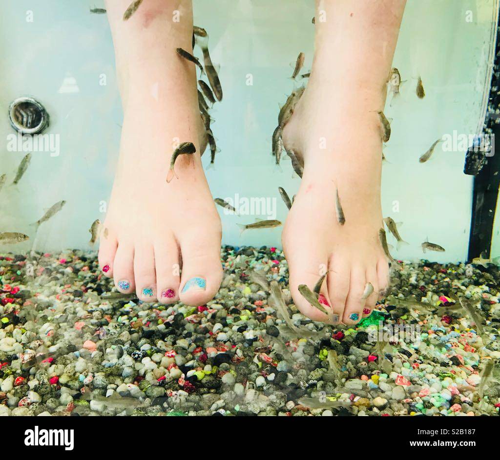 feet in fish spa Stock Photo - Alamy
