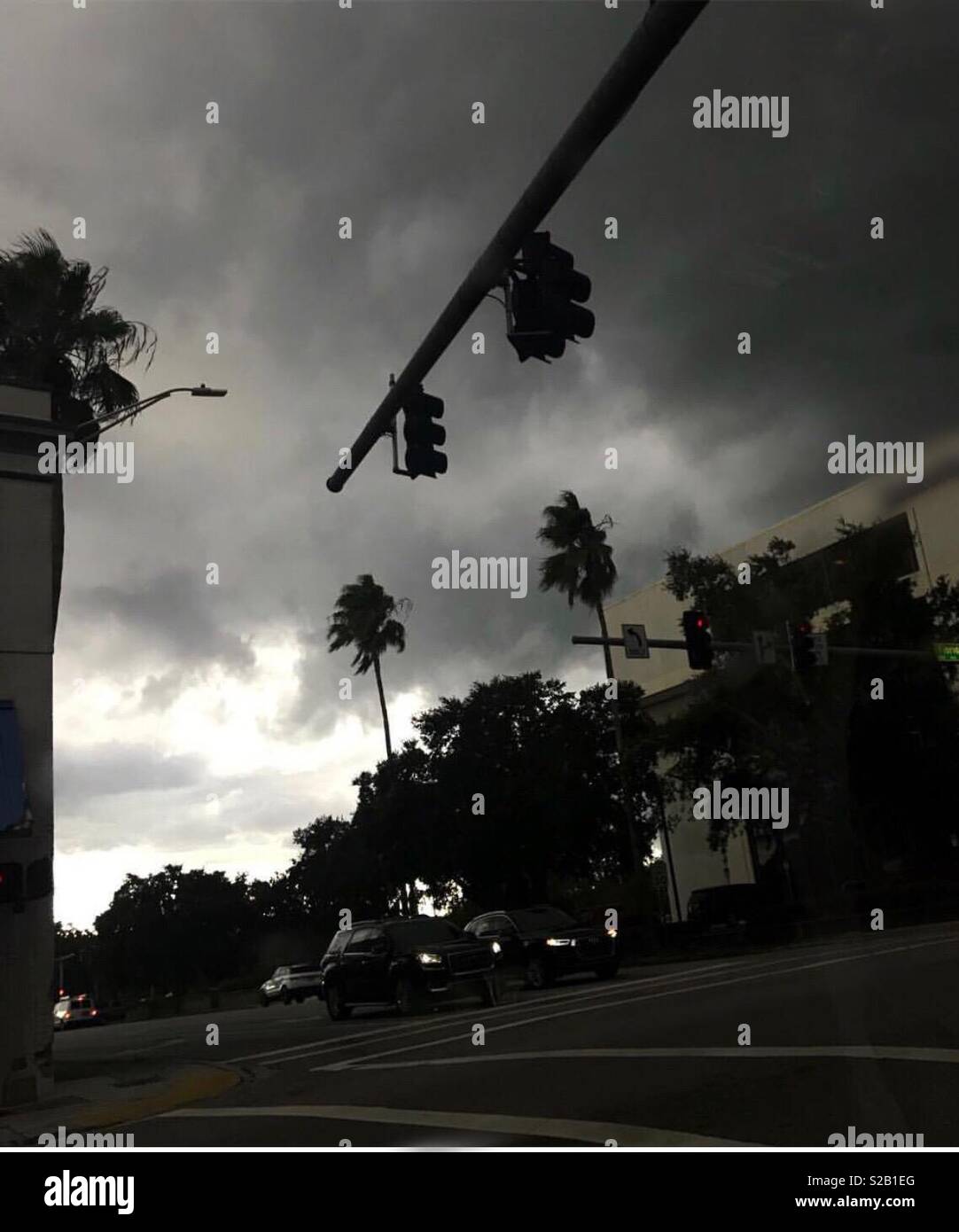 Palm Trees Storm High Resolution Stock Photography and Images - Alamy
