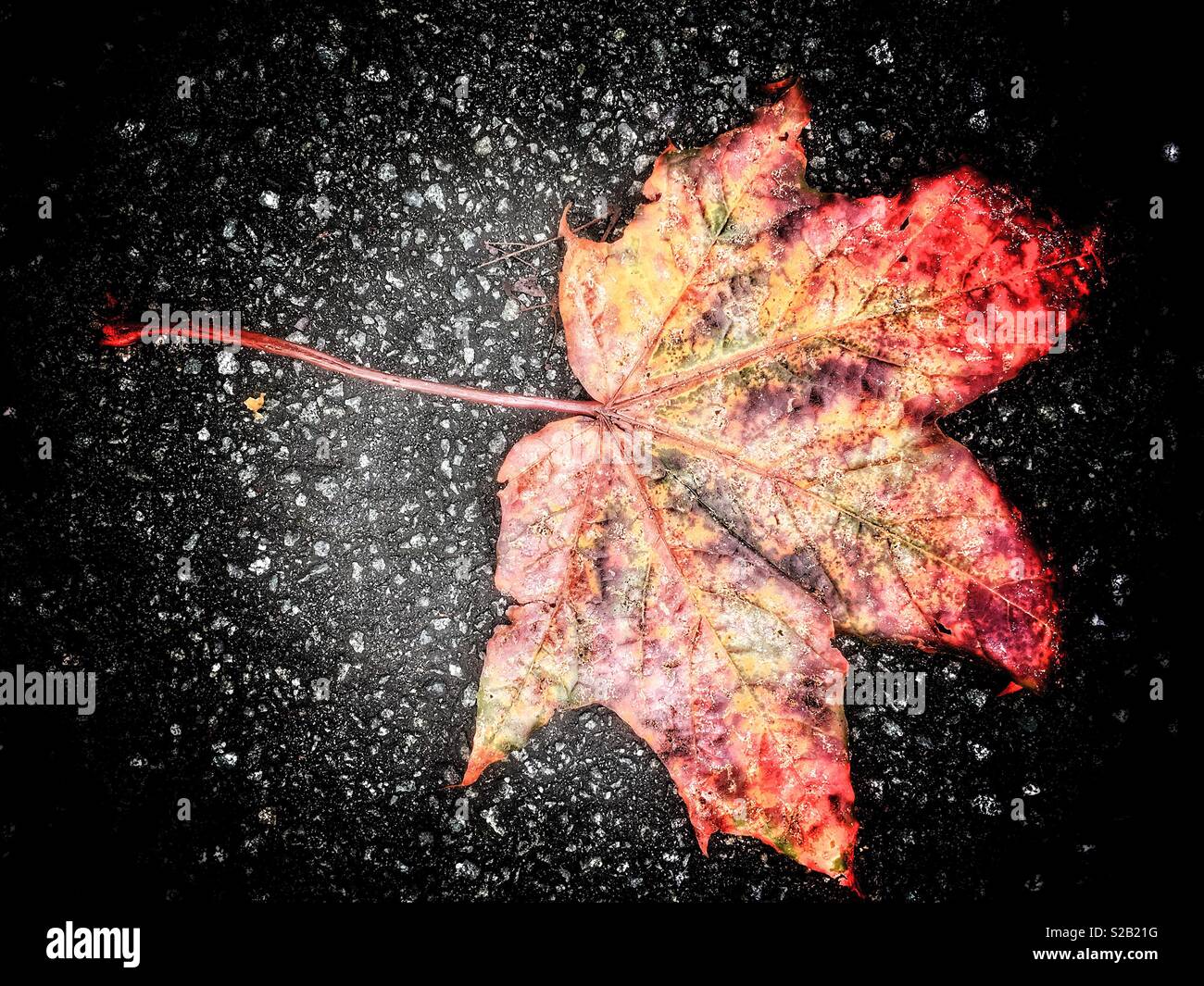 Marple hi-res stock photography and images - Alamy