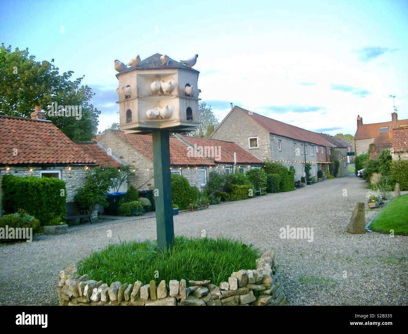 The pigeons on siesta at a village near Loch Lomond , Scotland Stock ...