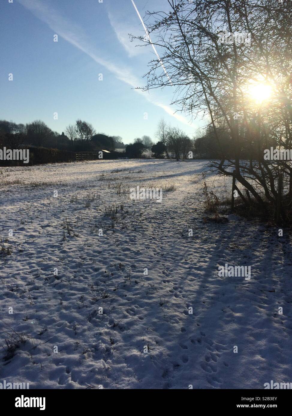 Snowy scene of trees and a field with the sunlight coming through the ...