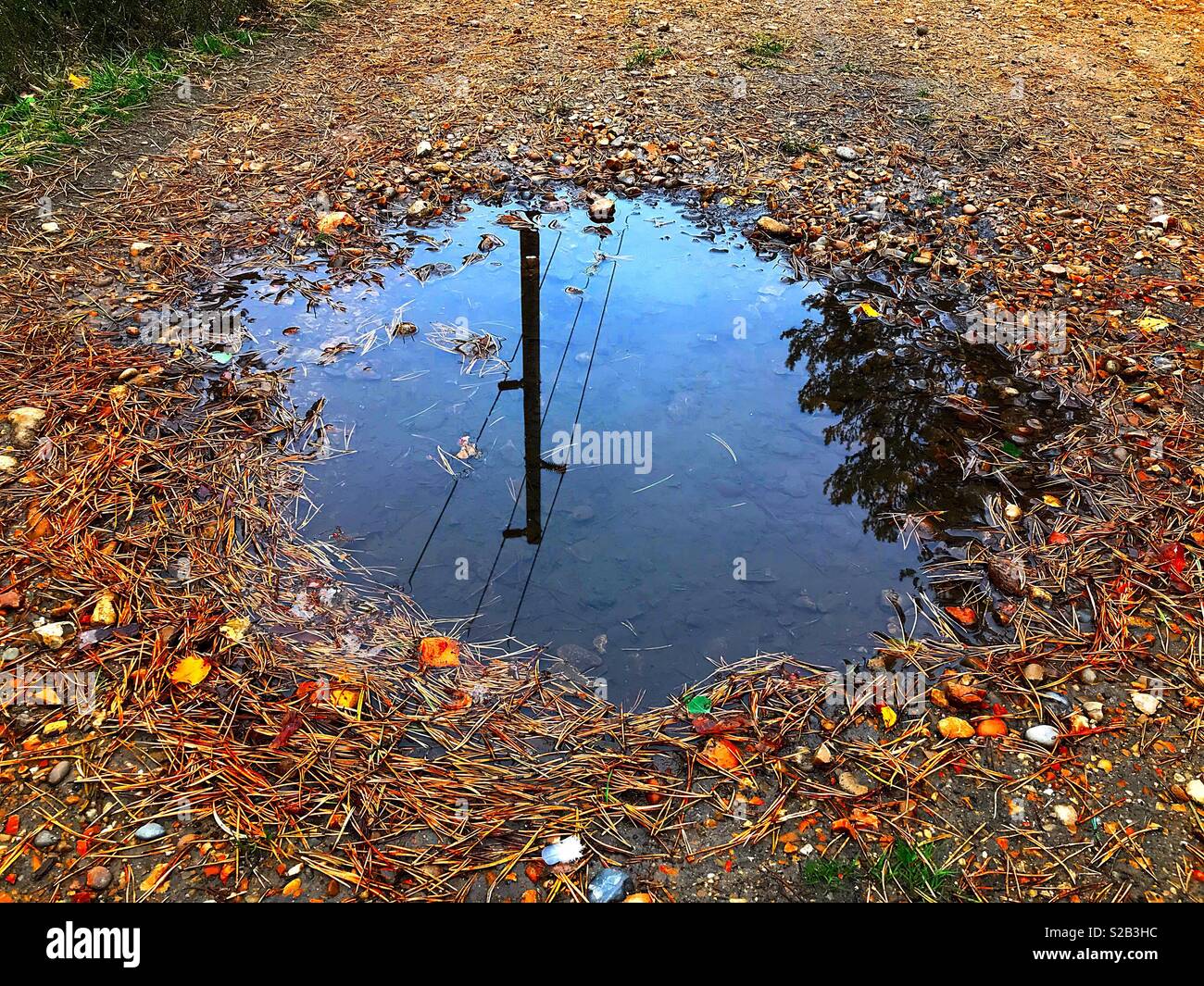 Puddle with reflection Stock Photo - Alamy