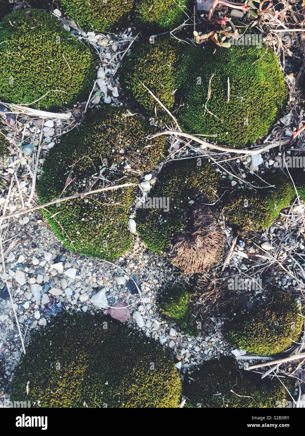 Green rocks hi-res stock photography and images - Alamy