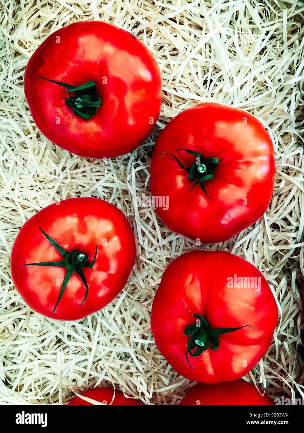 Big red beef tomatoes on straw Stock Photo - Alamy
