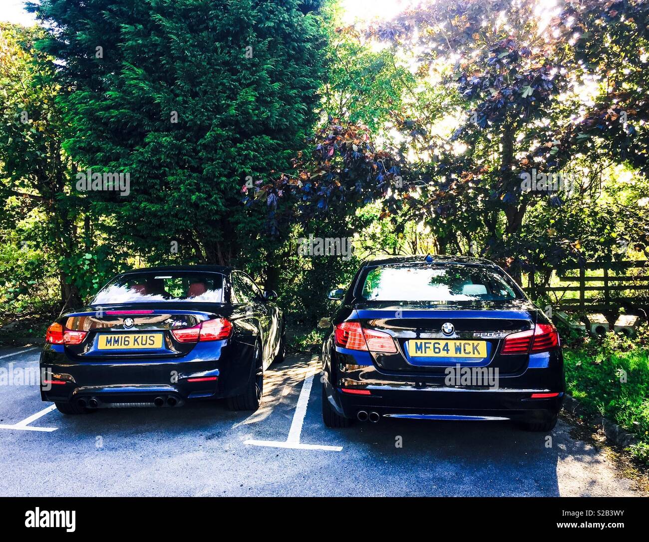 Black BMWs parked together in leafy car park Stock Photo - Alamy