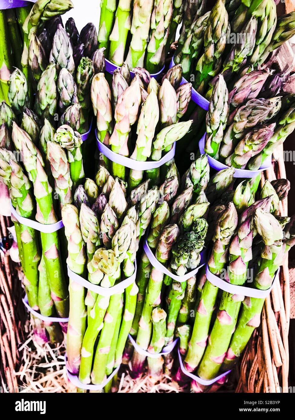 Several bundles of asparagus Stock Photo - Alamy