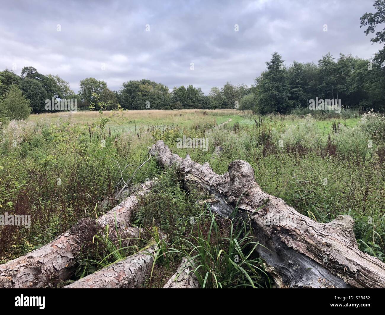 Driffield yorkshire fields hi-res stock photography and images - Alamy
