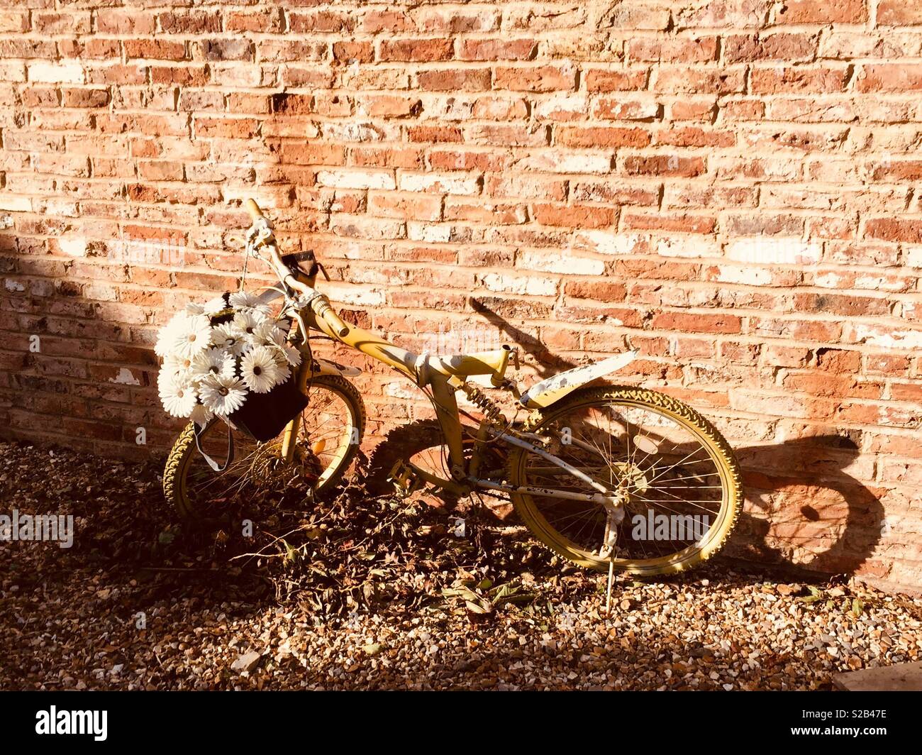 Bike against wall Stock Photo - Alamy