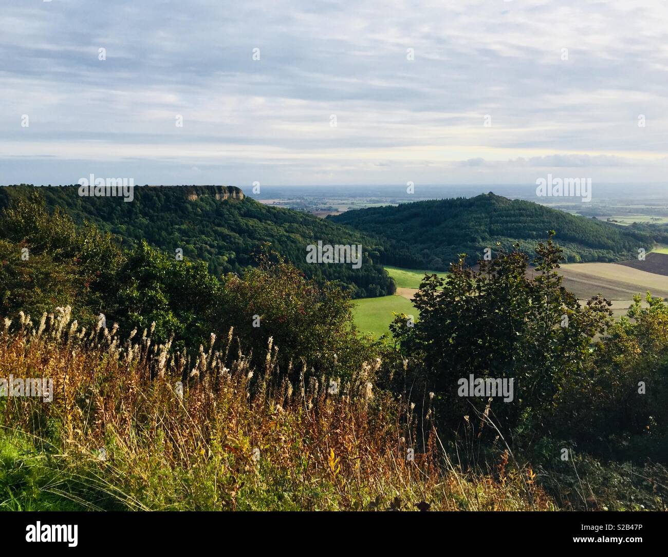 Fine view hi-res stock photography and images - Alamy