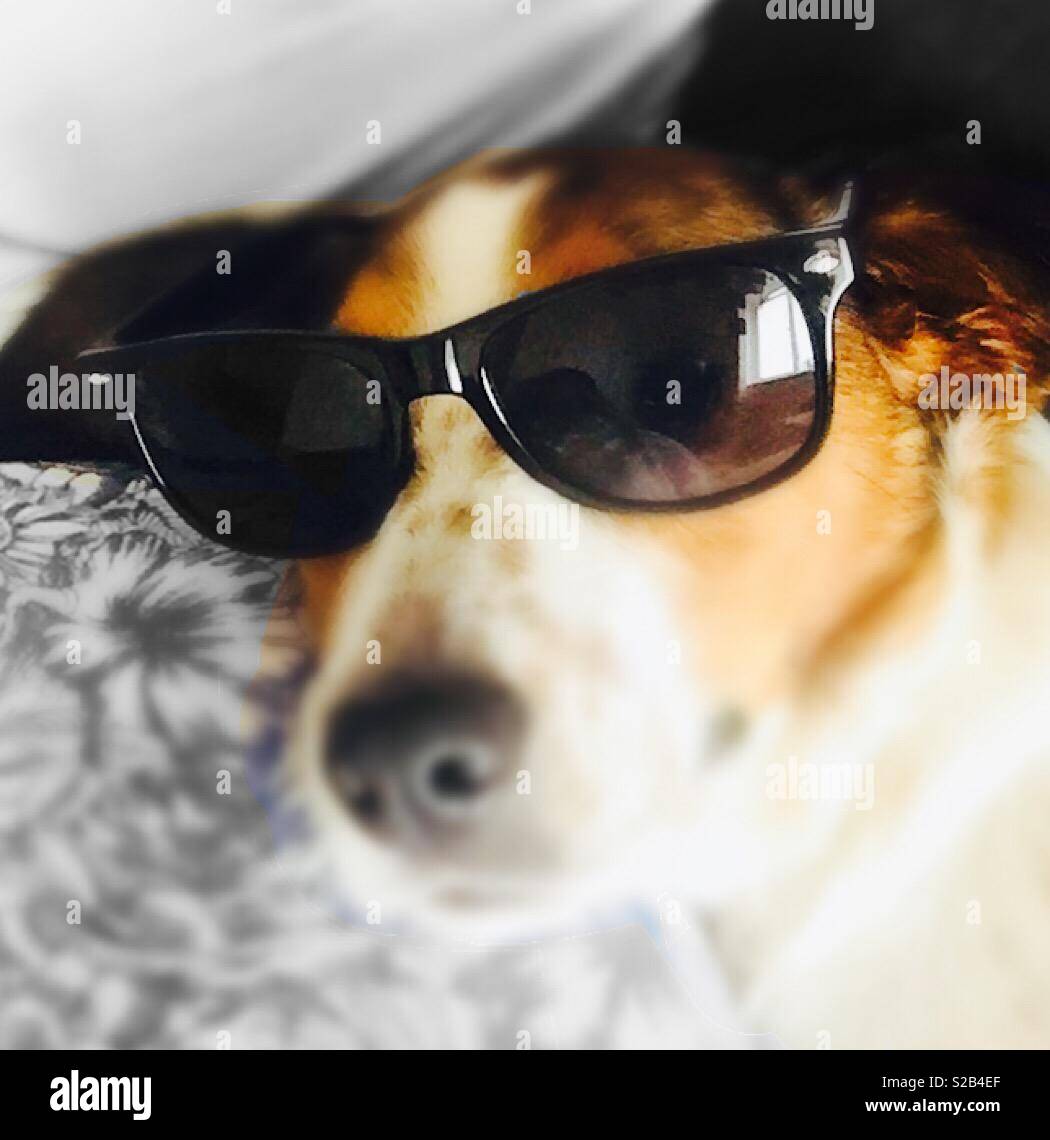 Easy like Sunday morning Stock Photo - Alamy