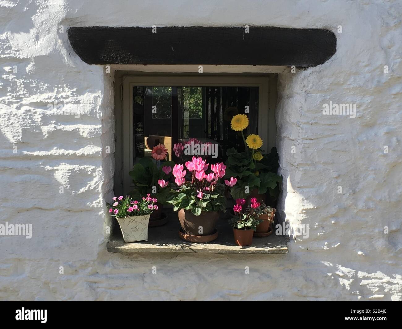 Window Sill Flowers High Resolution Stock Photography and Images - Alamy
