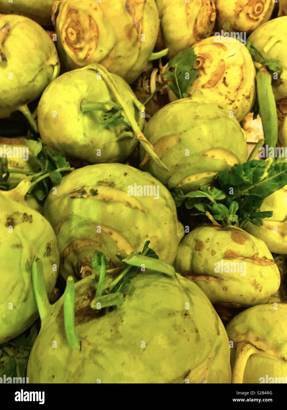 Fresh green vegetables in Asian supermarket Stock Photo - Alamy