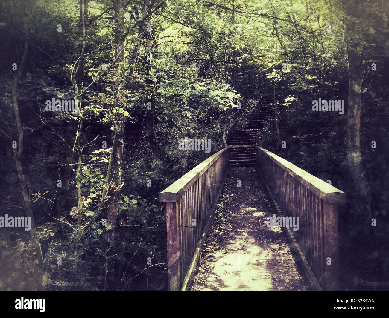 Wood wooden steps hi-res stock photography and images - Alamy