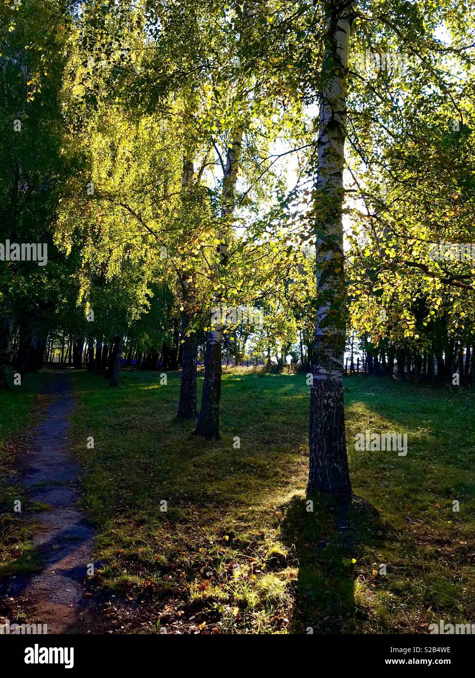 early autumn morning Stock Photo - Alamy