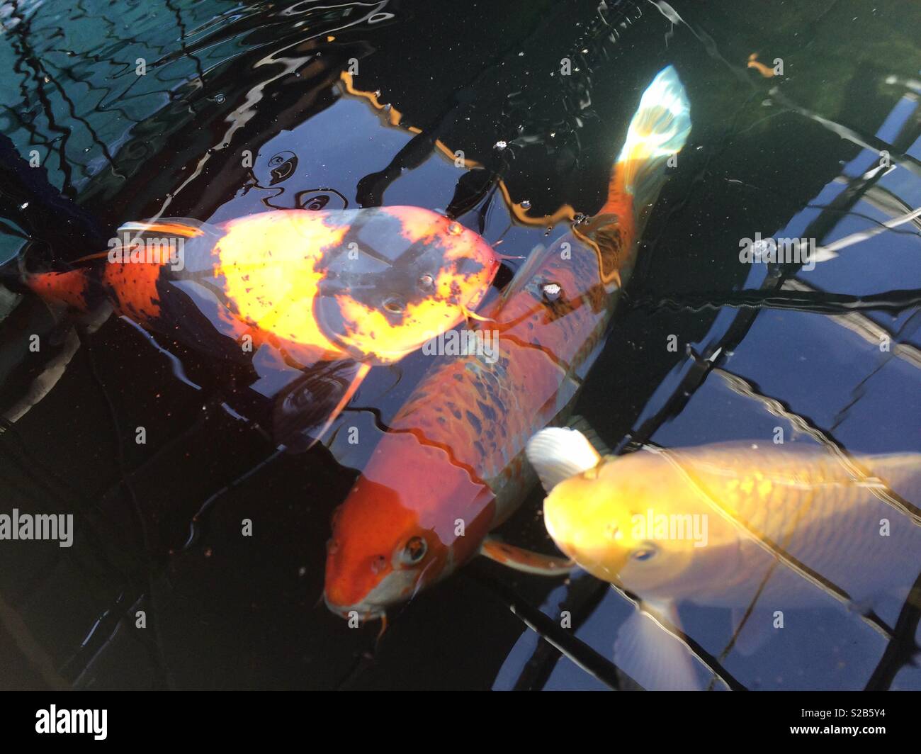 Japanese swimming pool hi-res stock photography and images - Alamy