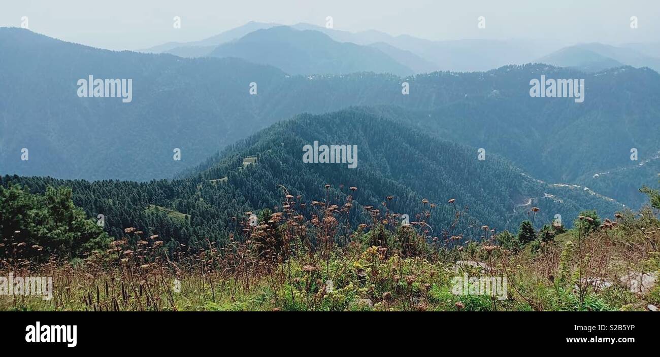 Anjani High Resolution Stock Photography and Images - Alamy