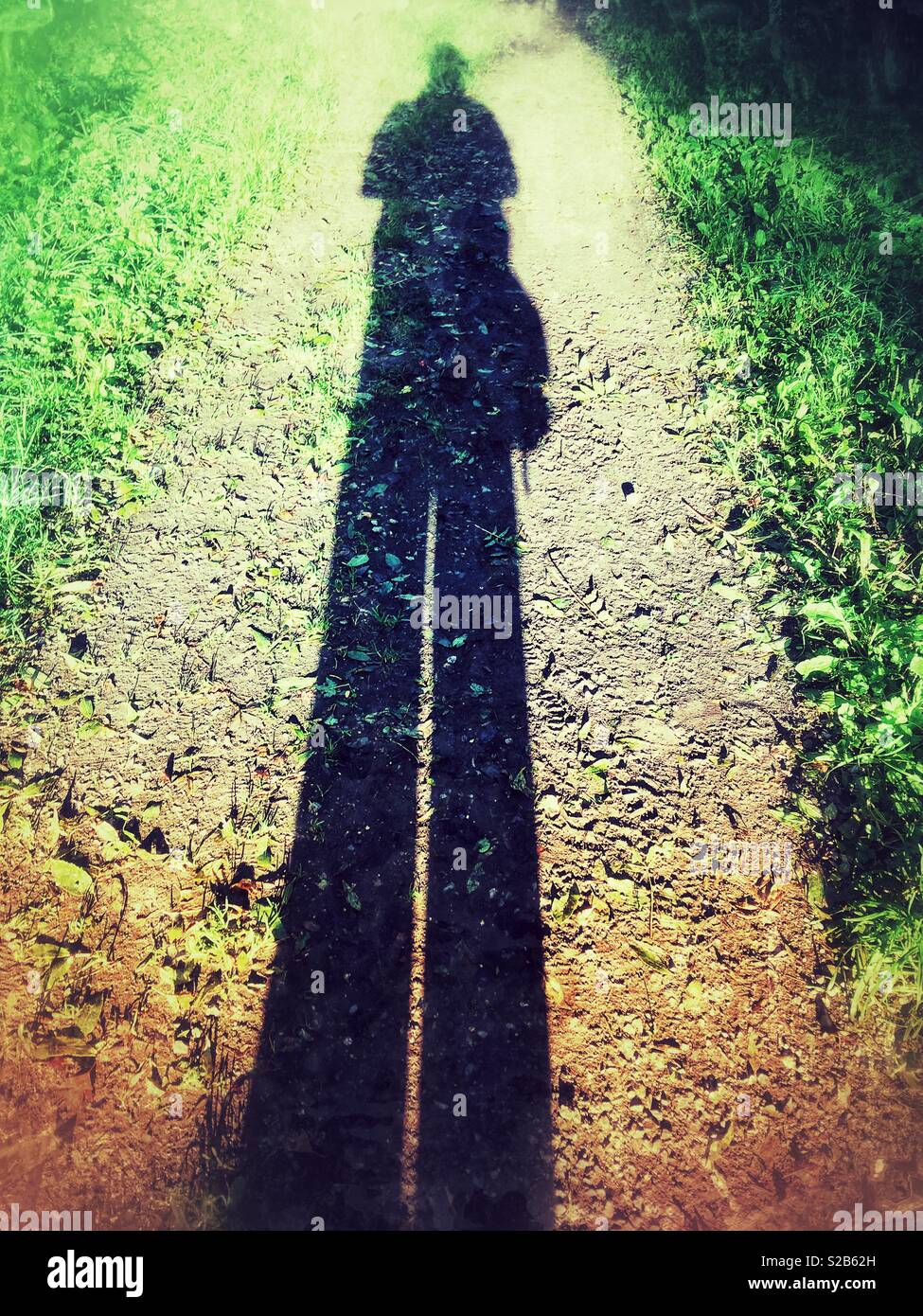 Very tall human shadow on coloured leafy background in Autumn Stock ...