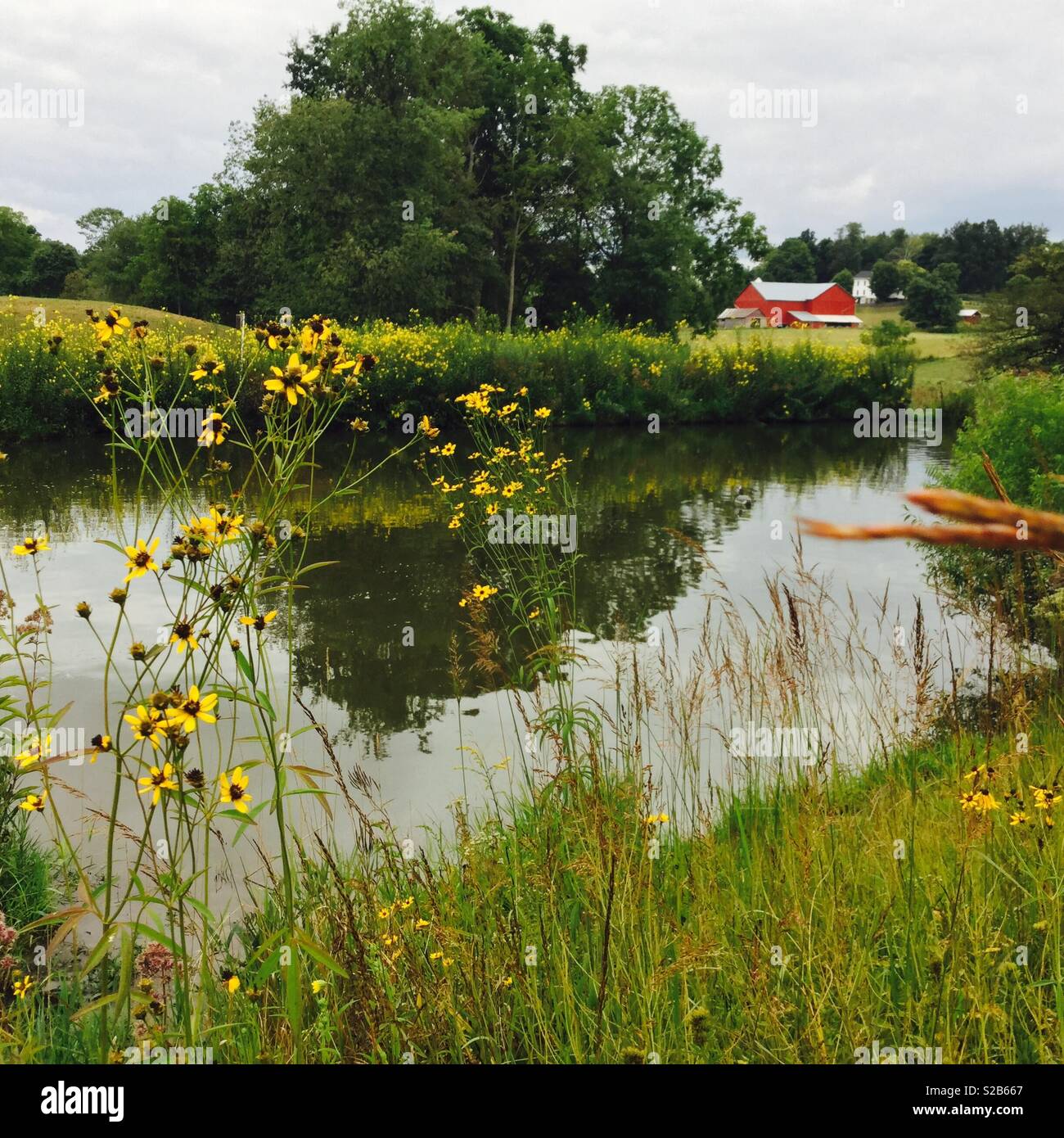 Amish farm ohio hi-res stock photography and images - Alamy