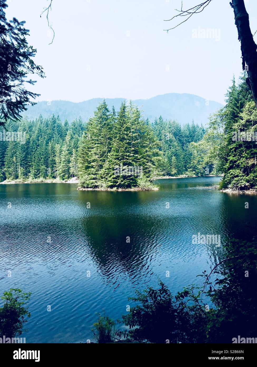 Rice lake hi-res stock photography and images - Alamy