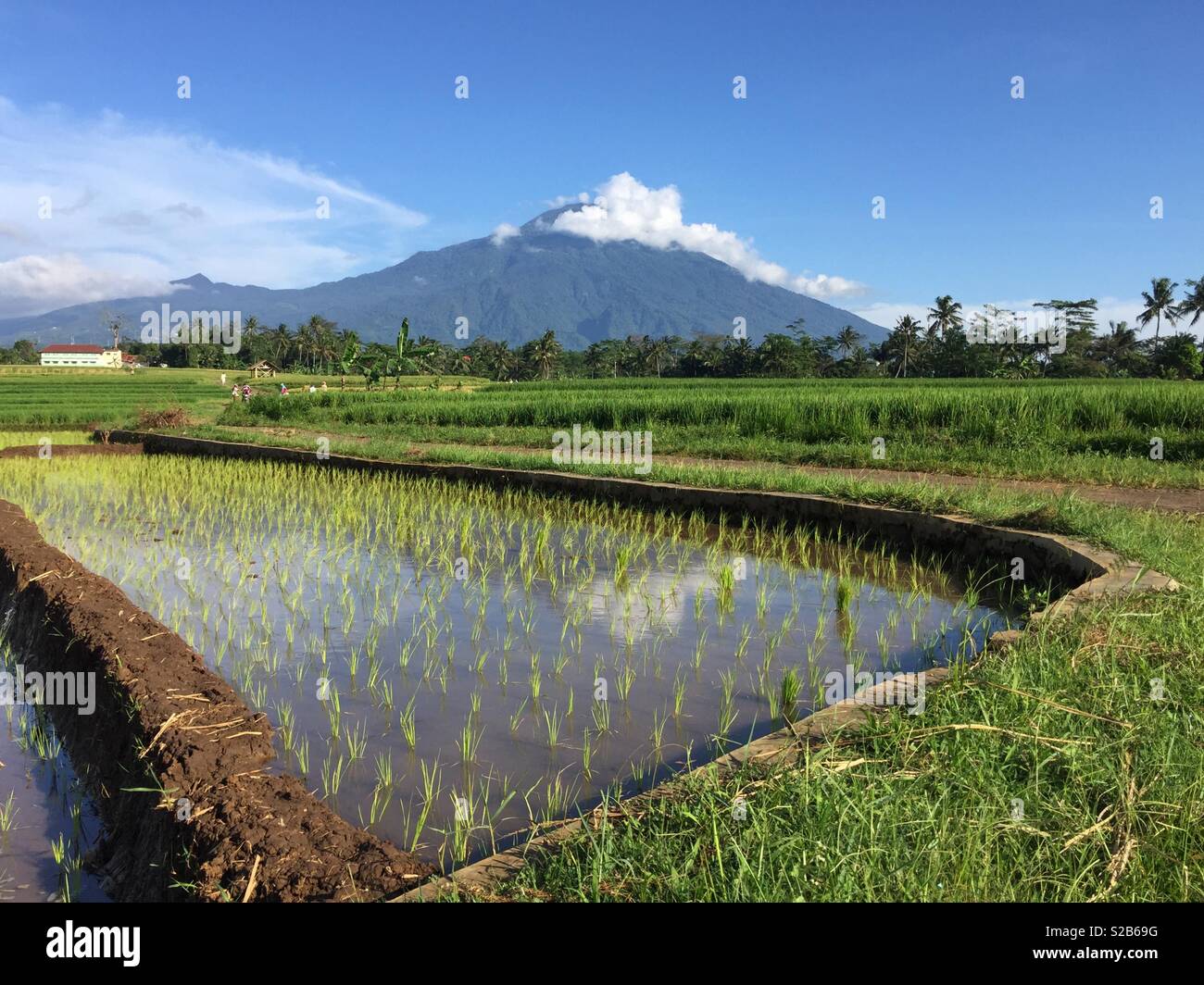 Ciremai mountain hi-res stock photography and images - Alamy