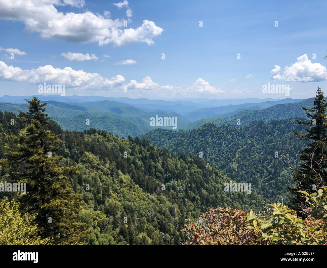 The Great Smoky Mountains from the Appalachian trail! Stock Photo - Alamy