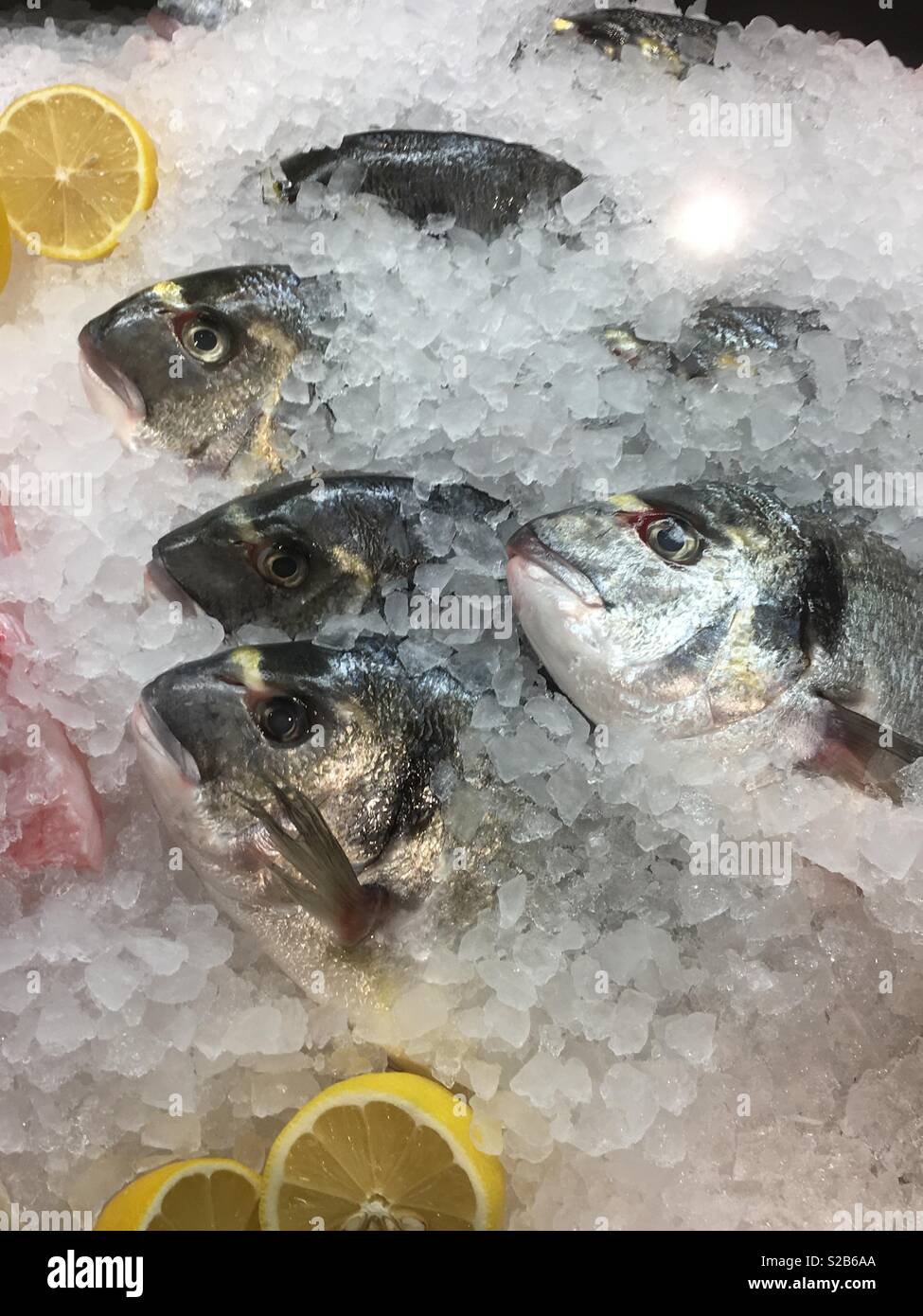 Packed Fish High Resolution Stock Photography and Images - Alamy