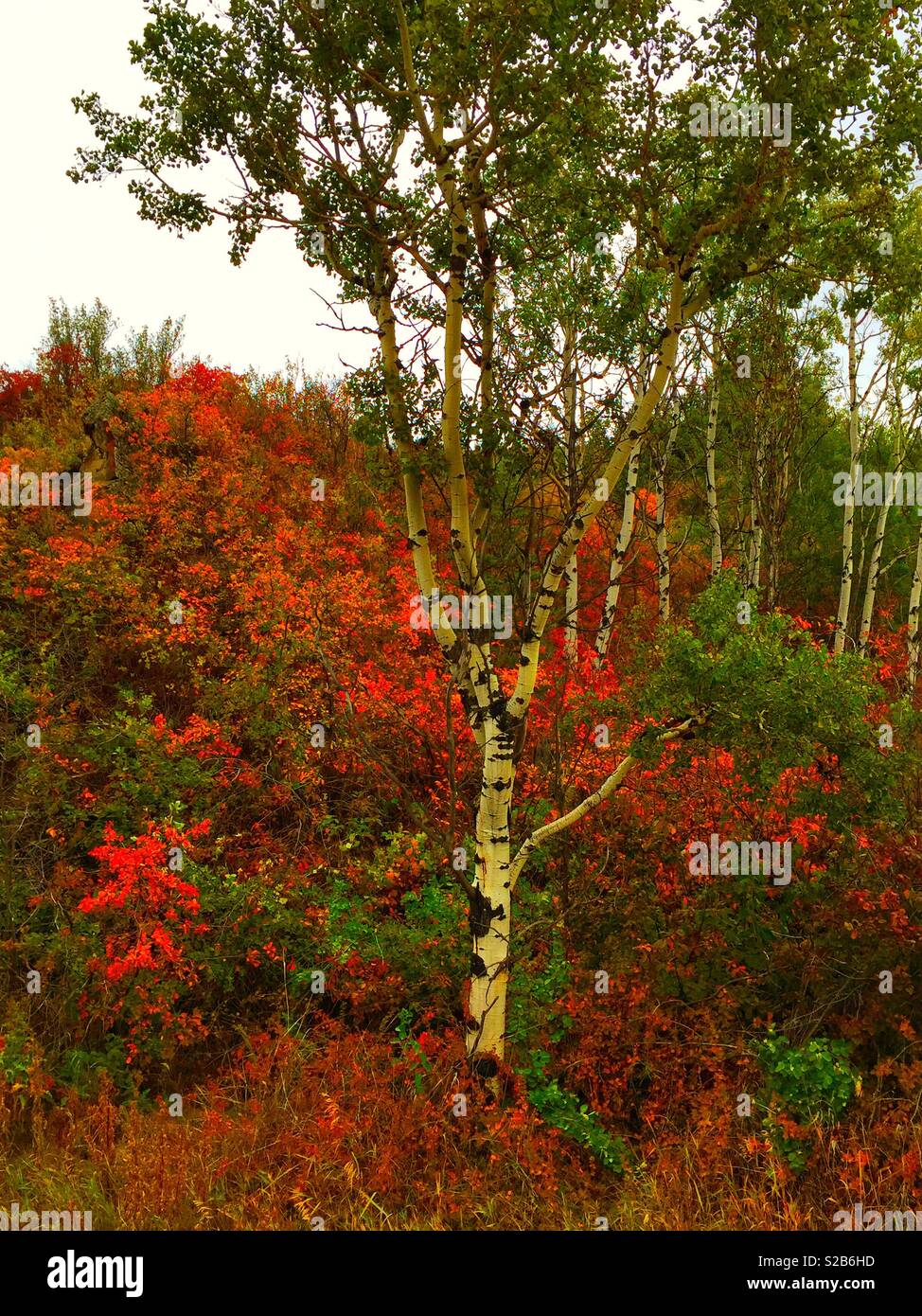 Banff colours hi-res stock photography and images - Alamy