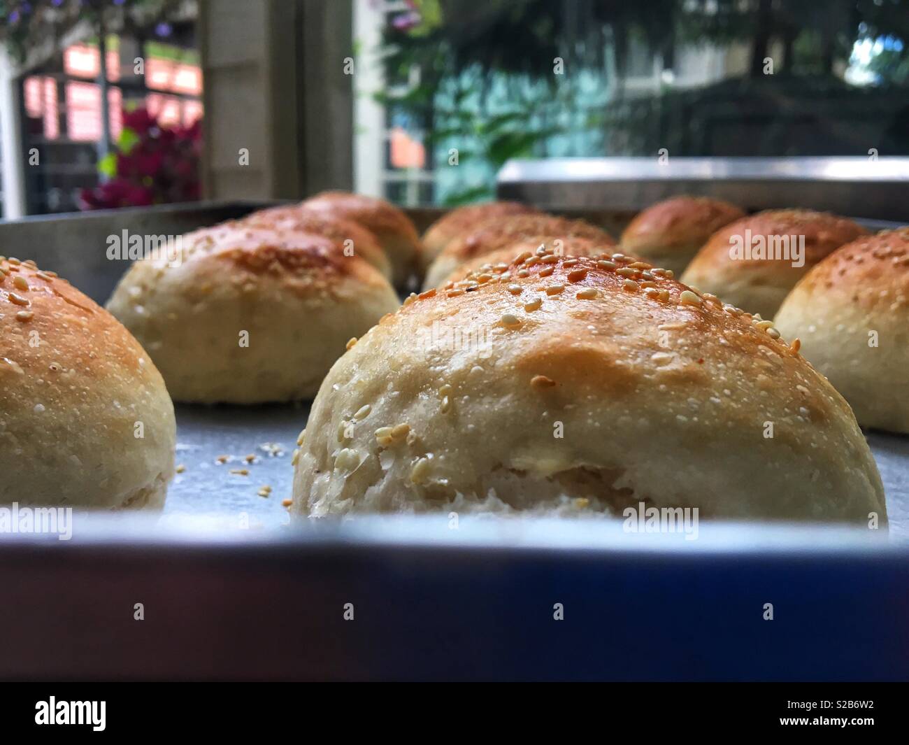 Delicious burger buns at bakery Stock Photo - Alamy