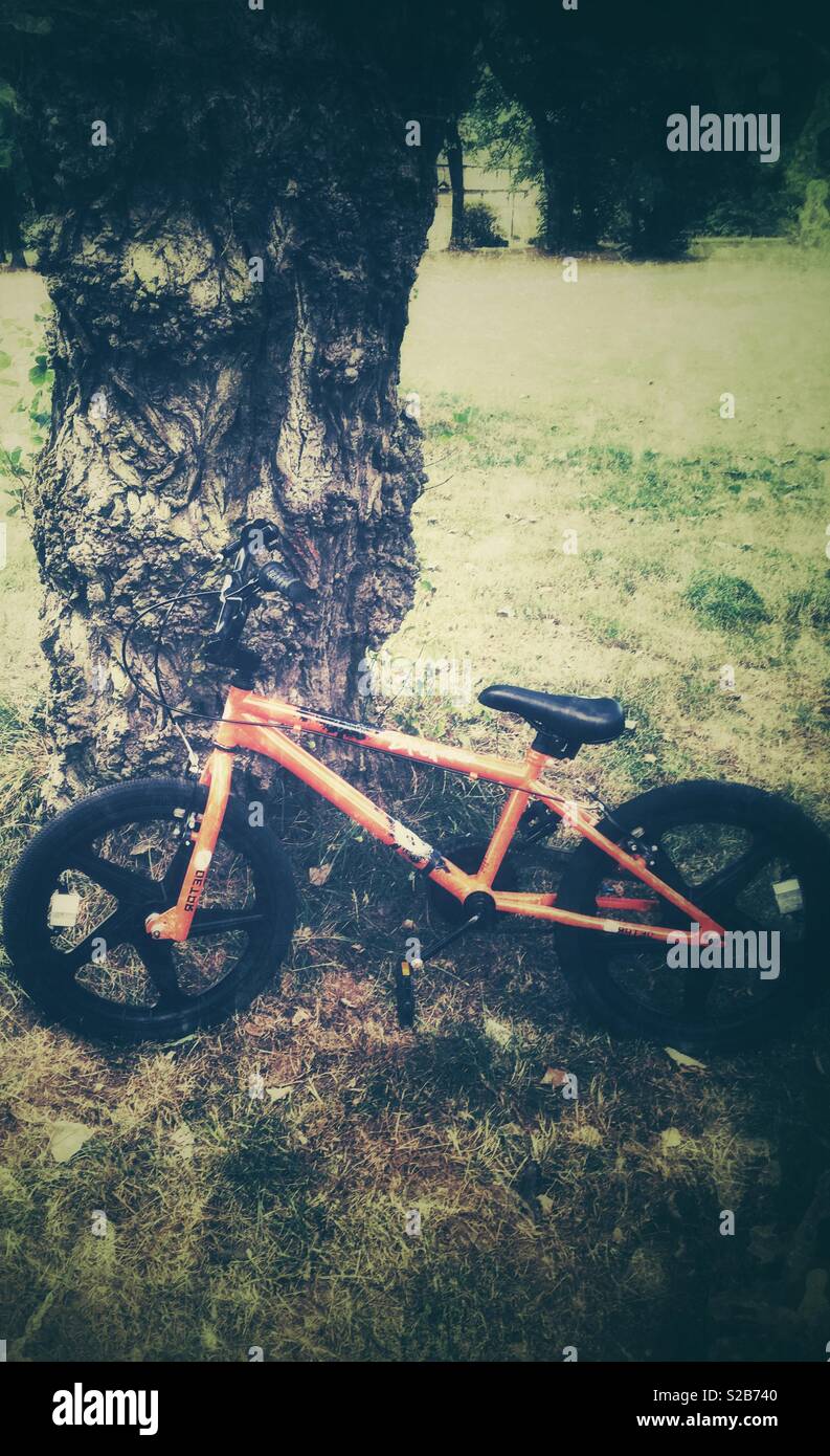 Bike leaning against tree hi-res stock photography and images - Alamy