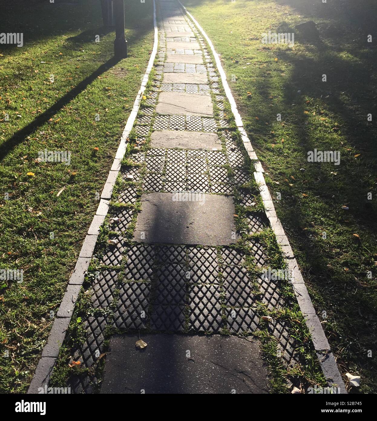 The pathway leads on through sun and shadow Stock Photo - Alamy