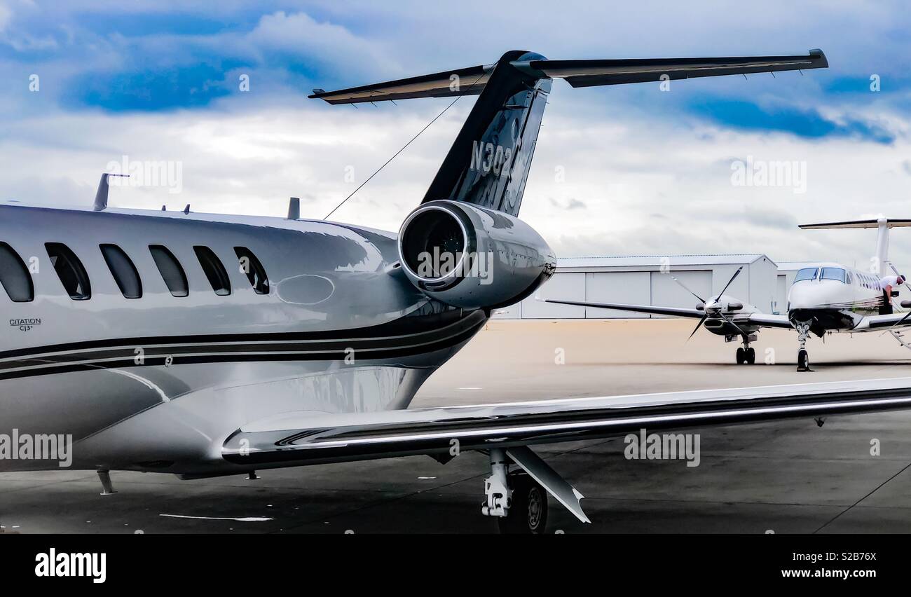 Getting ready to fly Stock Photo - Alamy