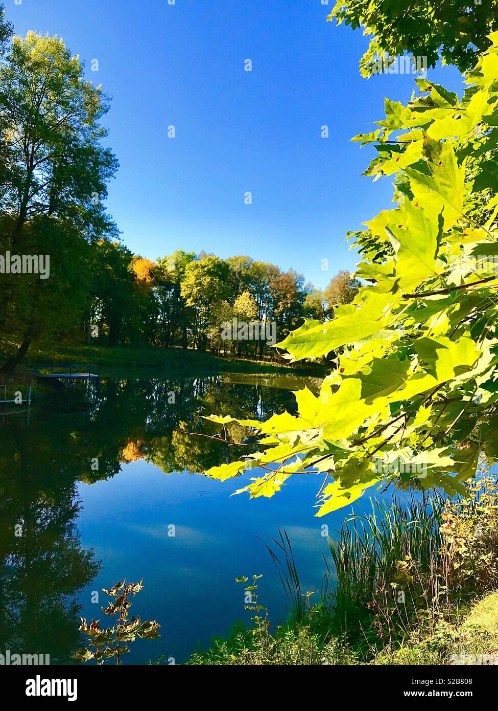 An autumn sunny hi-res stock photography and images - Alamy