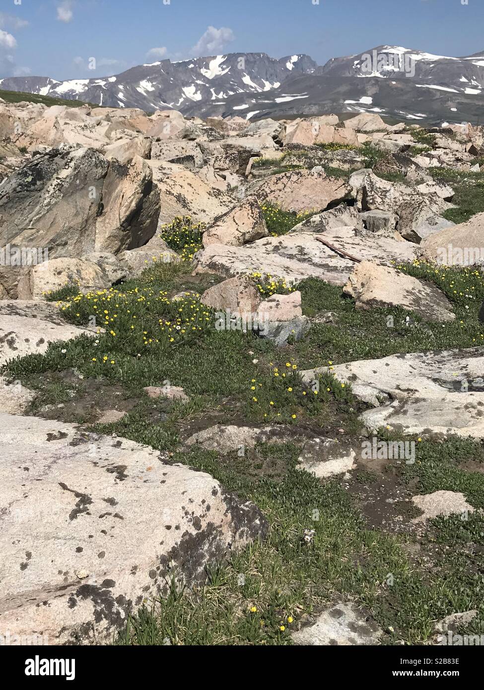 Absaroka beartooth hi-res stock photography and images - Alamy