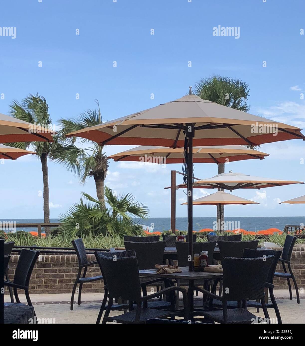 Beachside palm trees hi-res stock photography and images - Alamy