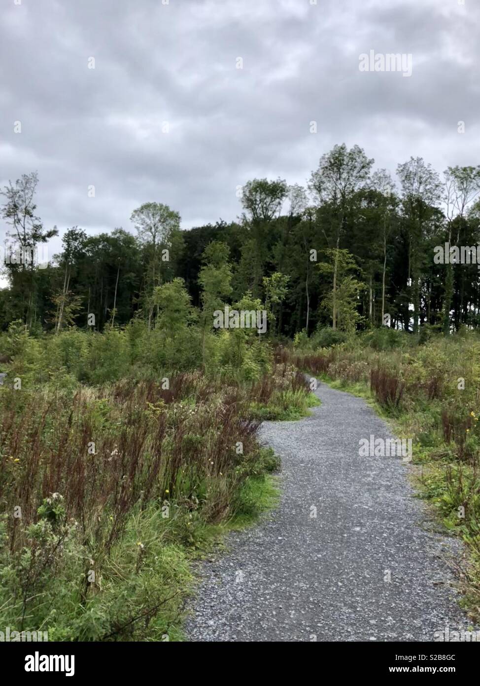 Regrowth in Renville, one year on Stock Photo - Alamy