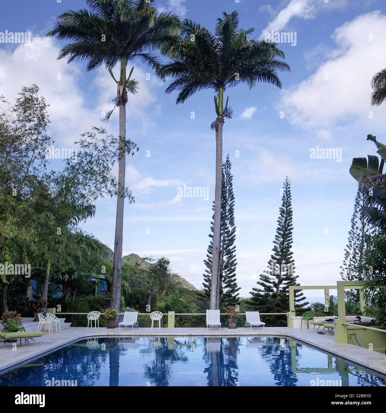 Hedonism Resort Tumblr